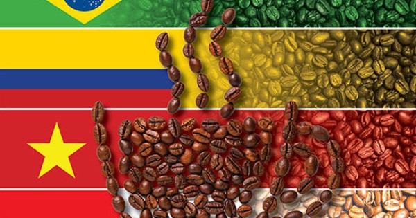 Single Origin Coffees